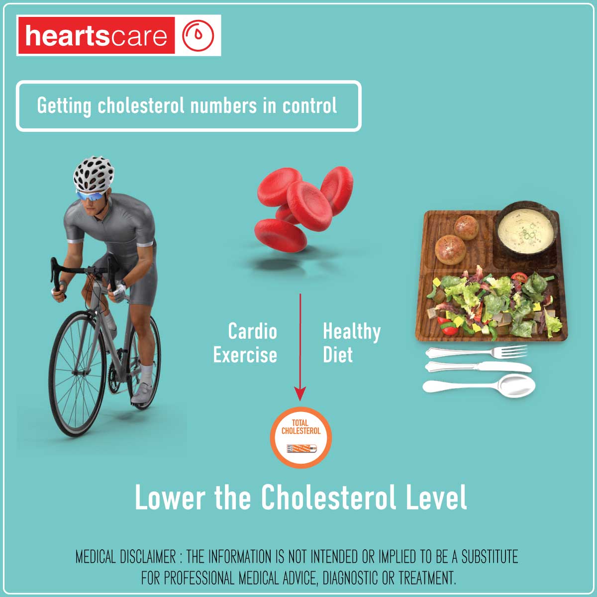 HeartsCare C1 Total Cholesterol Meter Test Kit at Home with 10 strips ...